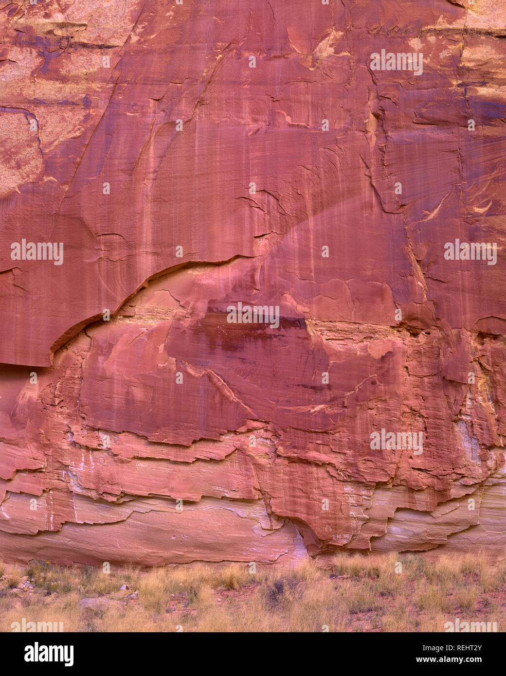 USA, Utah, Capitol Reef National Park, Colorful, eroded sandstone walls ...