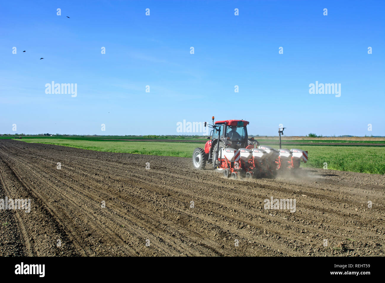 CURUG, SERBIA, 20, APRIL 2018. Spring sowing. Farmer with a tractor ...