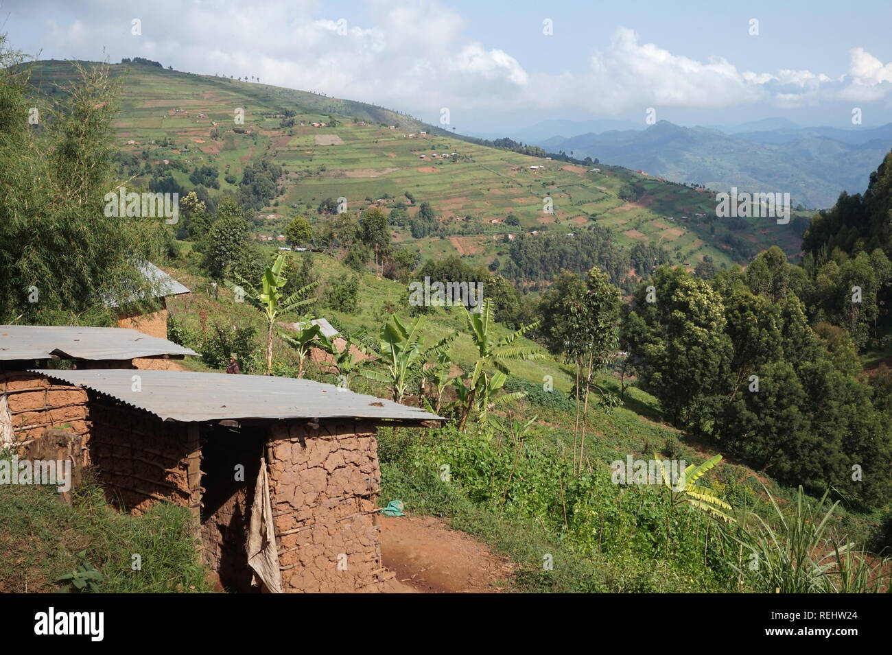 Matoke uganda hi-res stock photography and images - Alamy