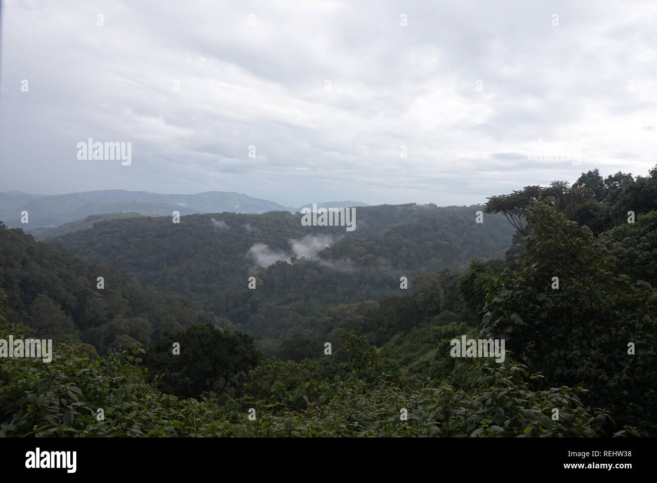 Remote bwindi impenetrable national park hi-res stock photography and ...