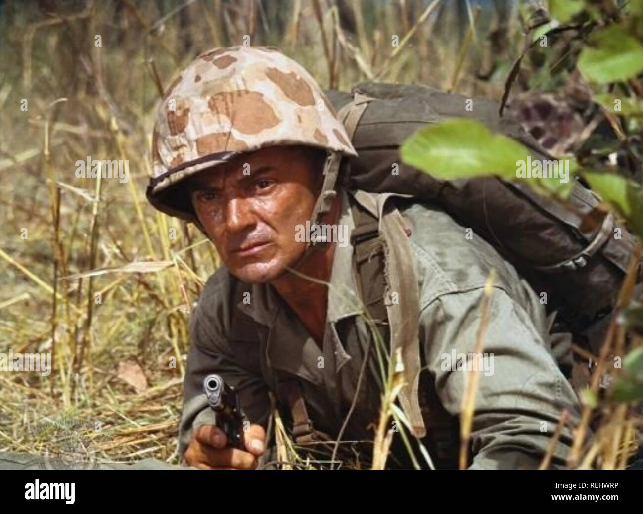 BEACH RED 1967 United Artists film with Cornel Wilde as Capt MacDonald ...