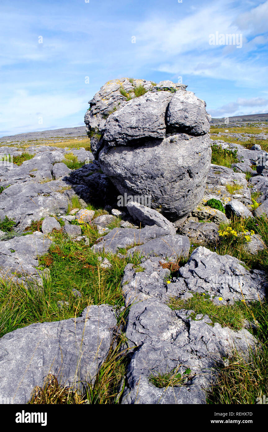 The Burren, Republic of Ireland Stock Photo - Alamy