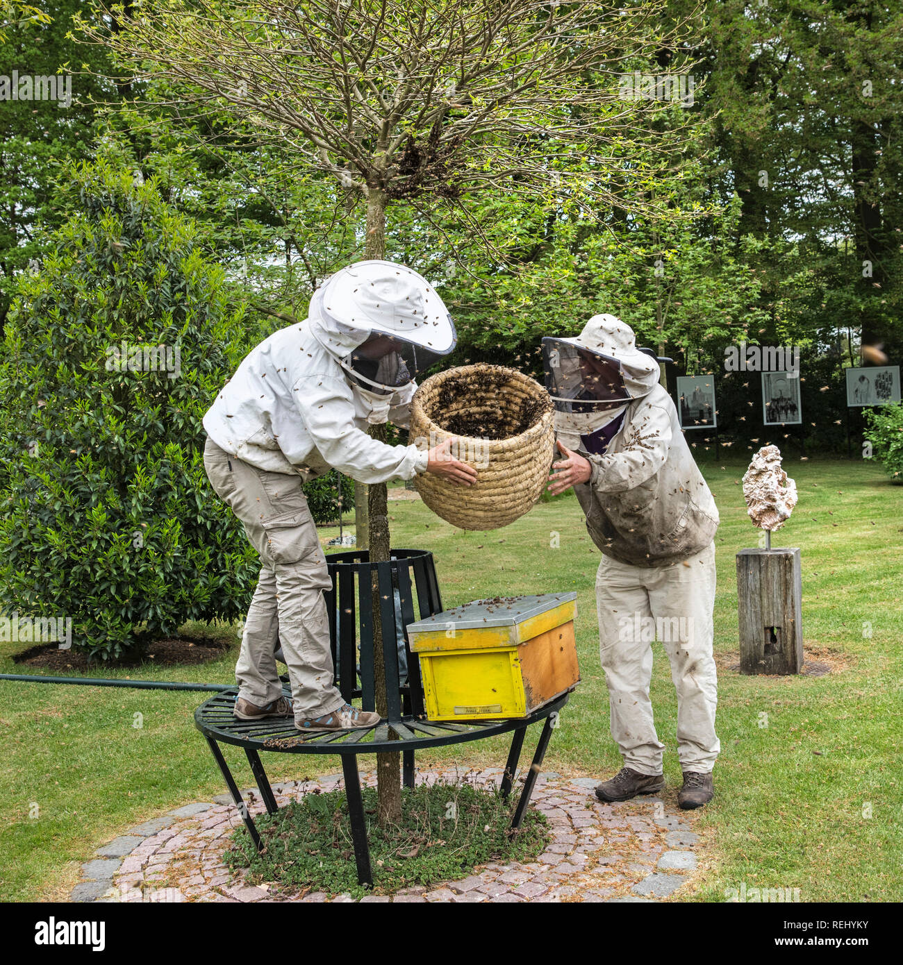 Beehive full bees bee collecting hi-res stock photography and images ...