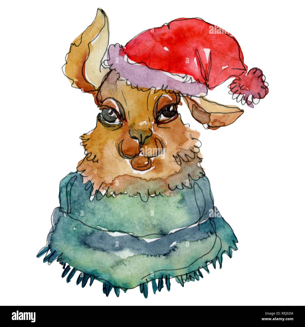 Cartoon character lama animal in a watercolor style. Watercolor ...