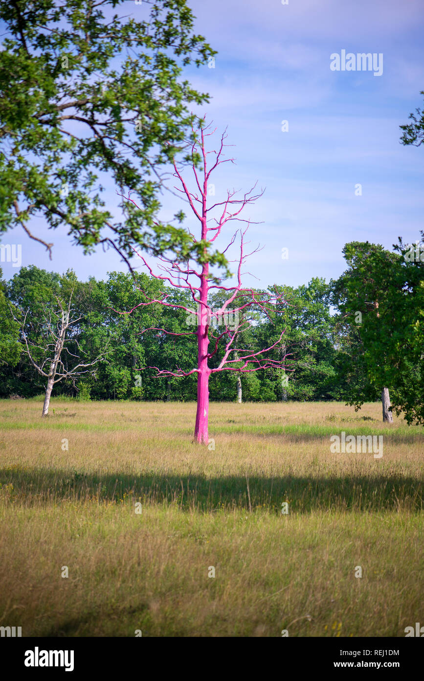 Concept of nature pollution. Landscape of meadow and forest with dead ...