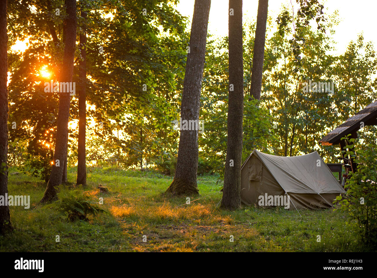 Camping on the beach during the sunset or sunrise. Bright sunlight ...