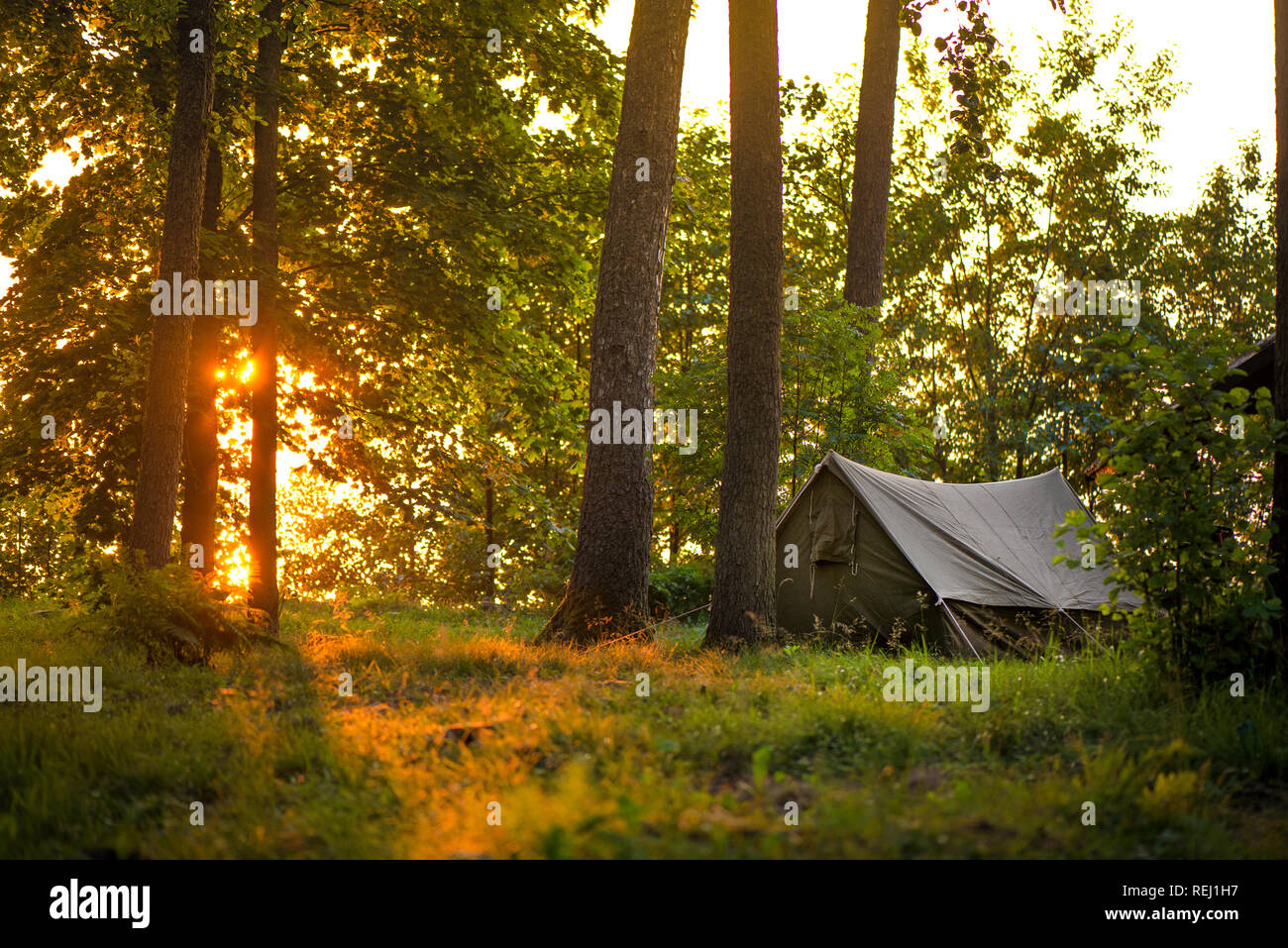 Camping on the beach during the sunset or sunrise. Bright sunlight ...
