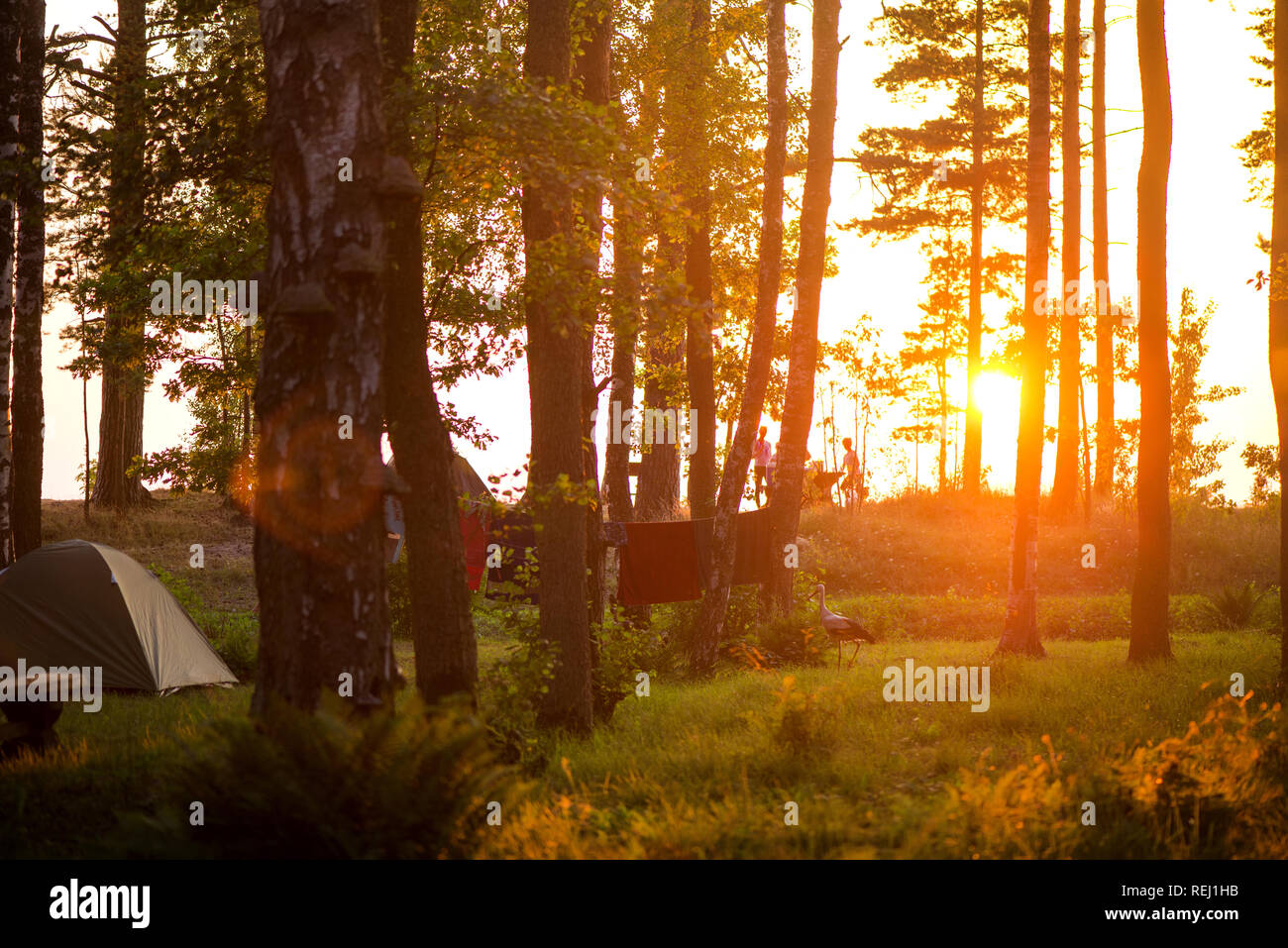 Camping on the beach during the sunset with silhouettes of young people ...