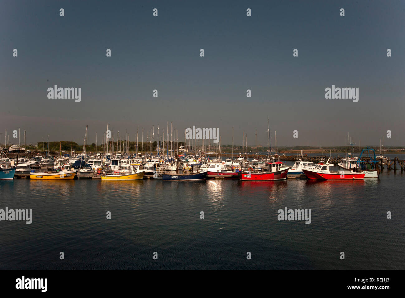 Boats moored in Amble marina, Northumberland Stock Photo - Alamy