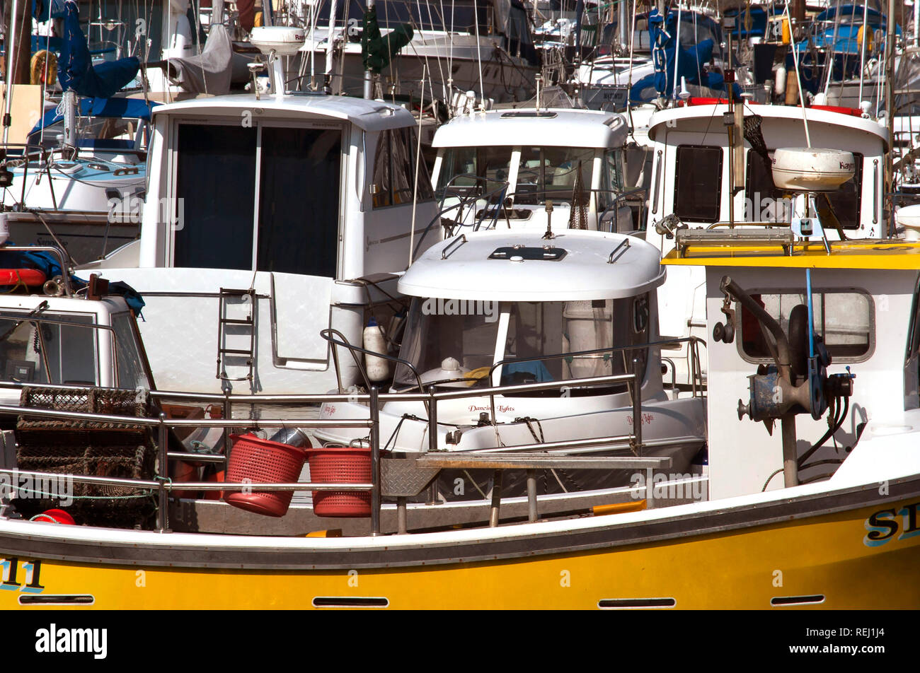 Boats moored in Amble marina, Northumberland Stock Photo - Alamy