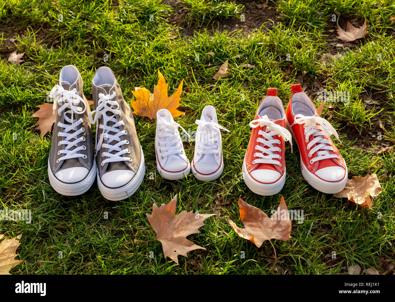 Conceptual image of family sneakers shoes in father mother and baby ...