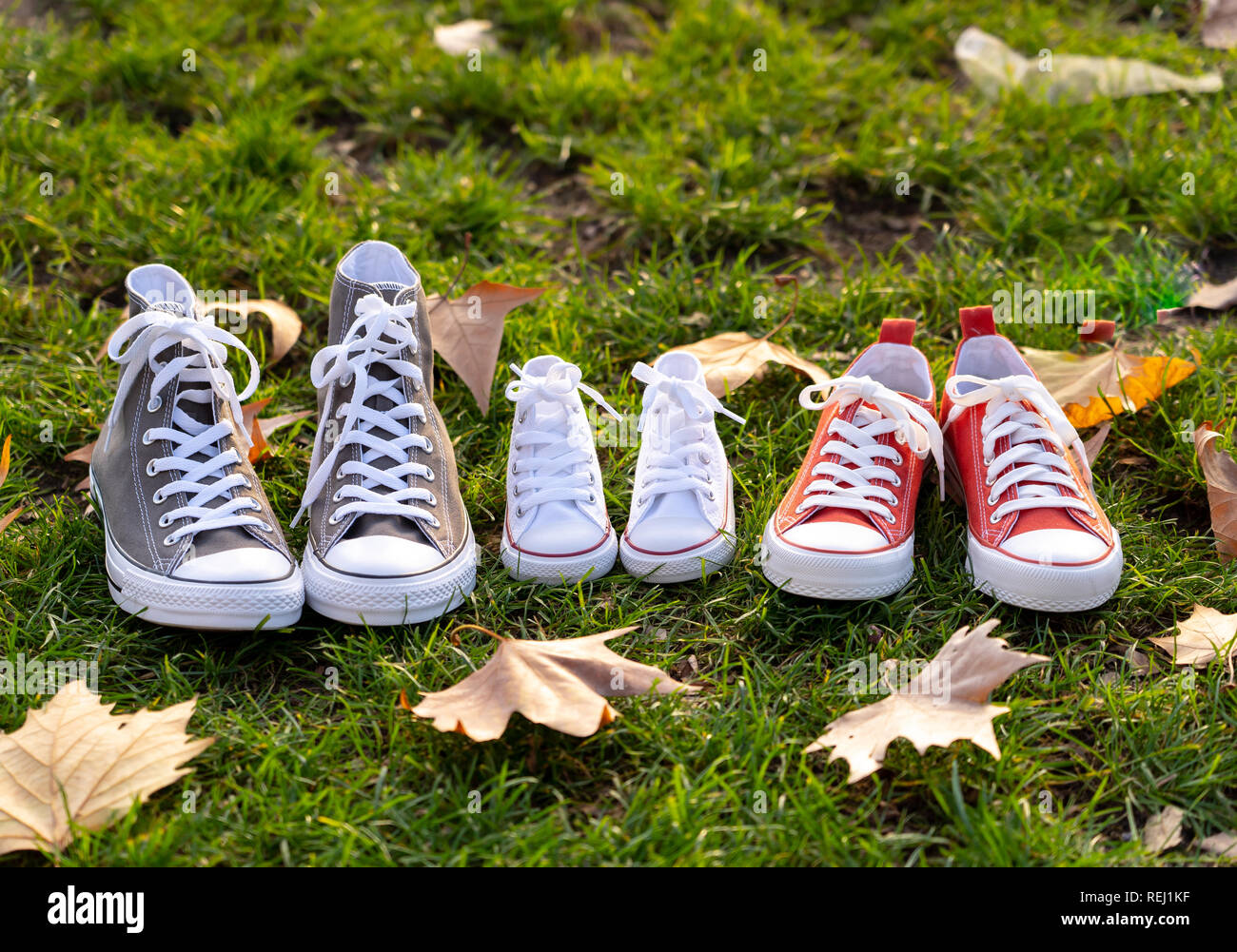 Conceptual image of family sneakers shoes in father mother and baby ...