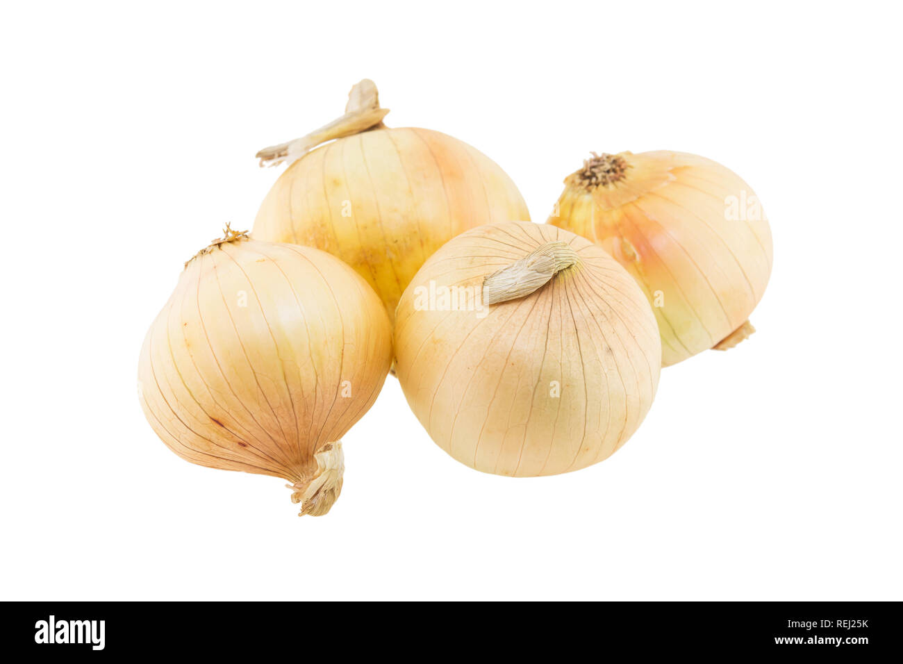 Onion isolated on white background Stock Photo - Alamy