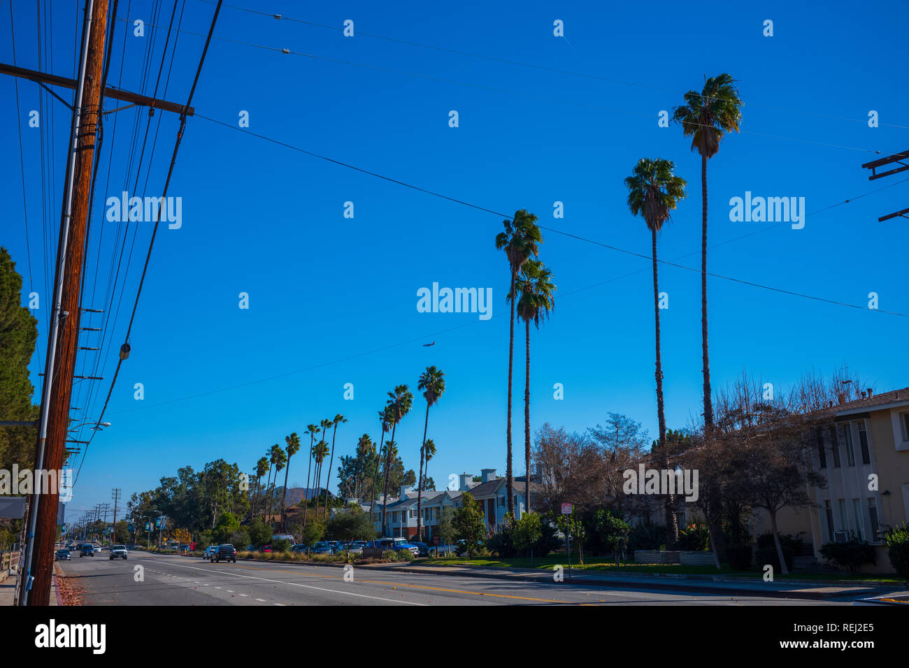Residential area in suburban Los Angeles, California Stock Photo - Alamy