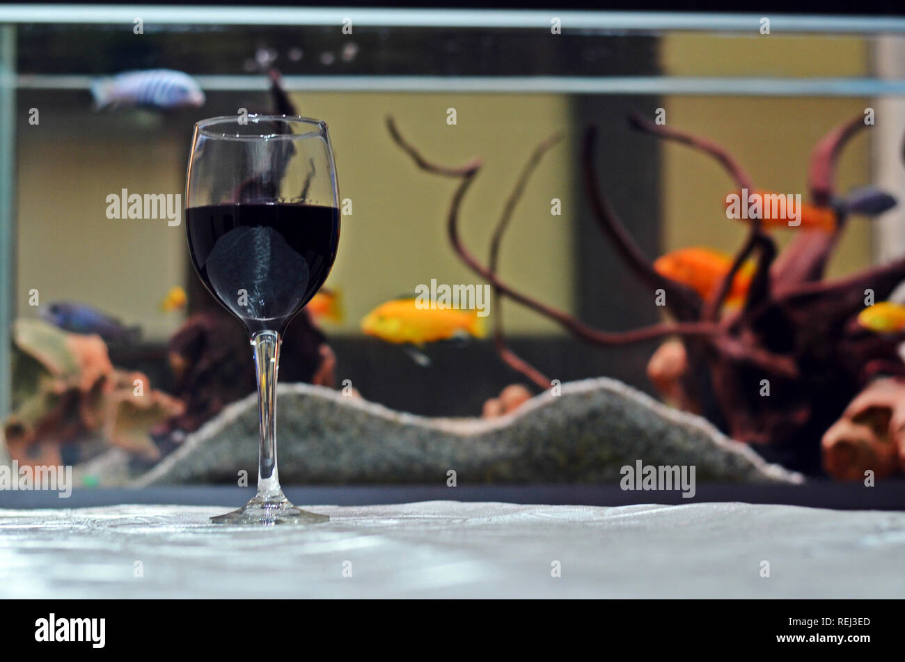 Tank cup hi-res stock photography and images - Alamy