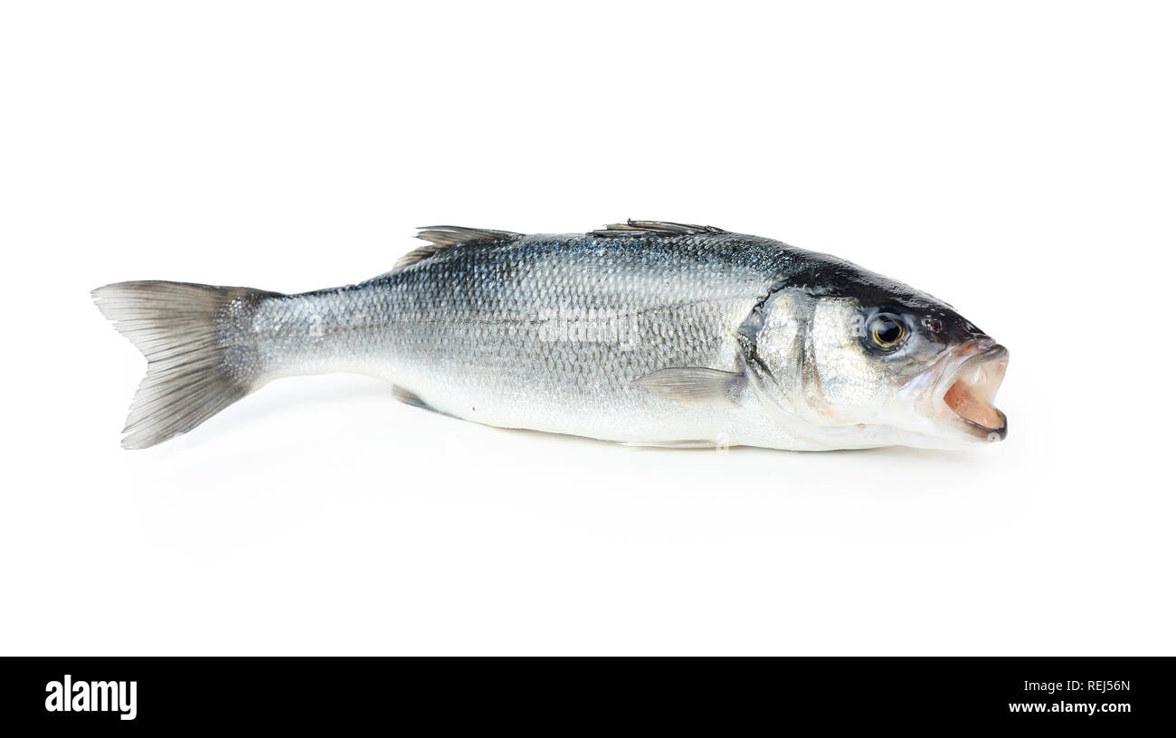 Fresh sea bass fish, isolated on white Stock Photo - Alamy