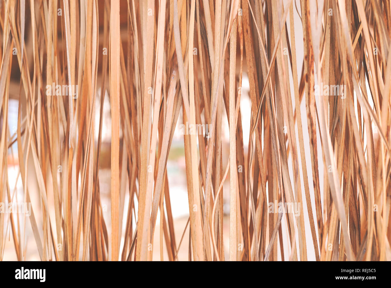 Backdrop of vertical leaves hi-res stock photography and images - Alamy