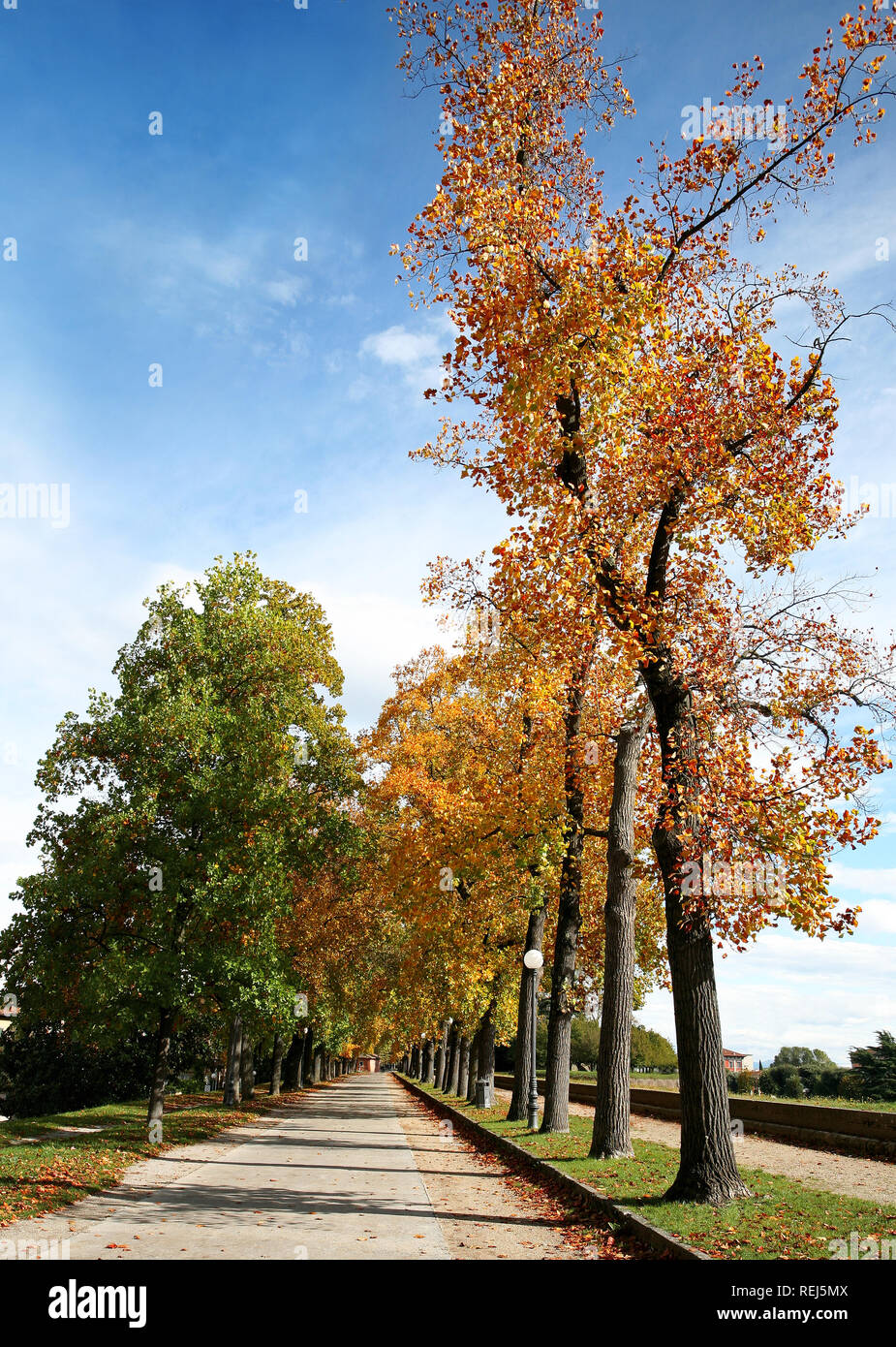 Alea in the park hi-res stock photography and images - Alamy
