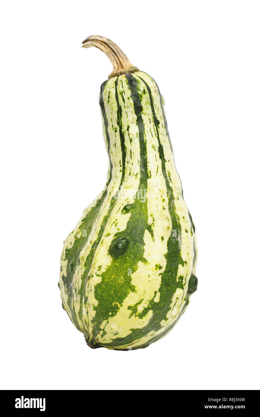 Pear-shaped pumpkin, isolated on white Stock Photo - Alamy