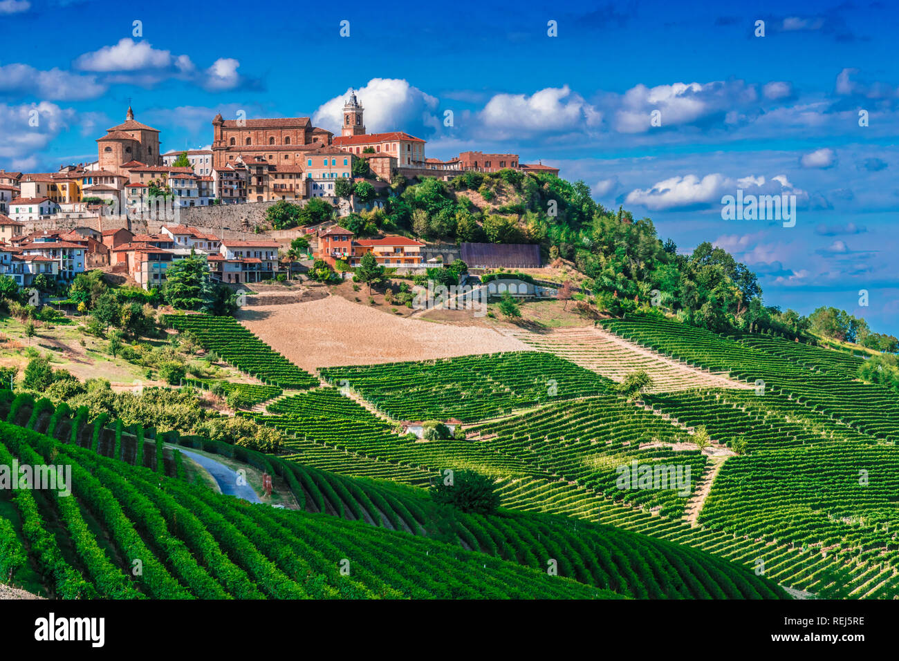 La morra comune hi-res stock photography and images - Alamy