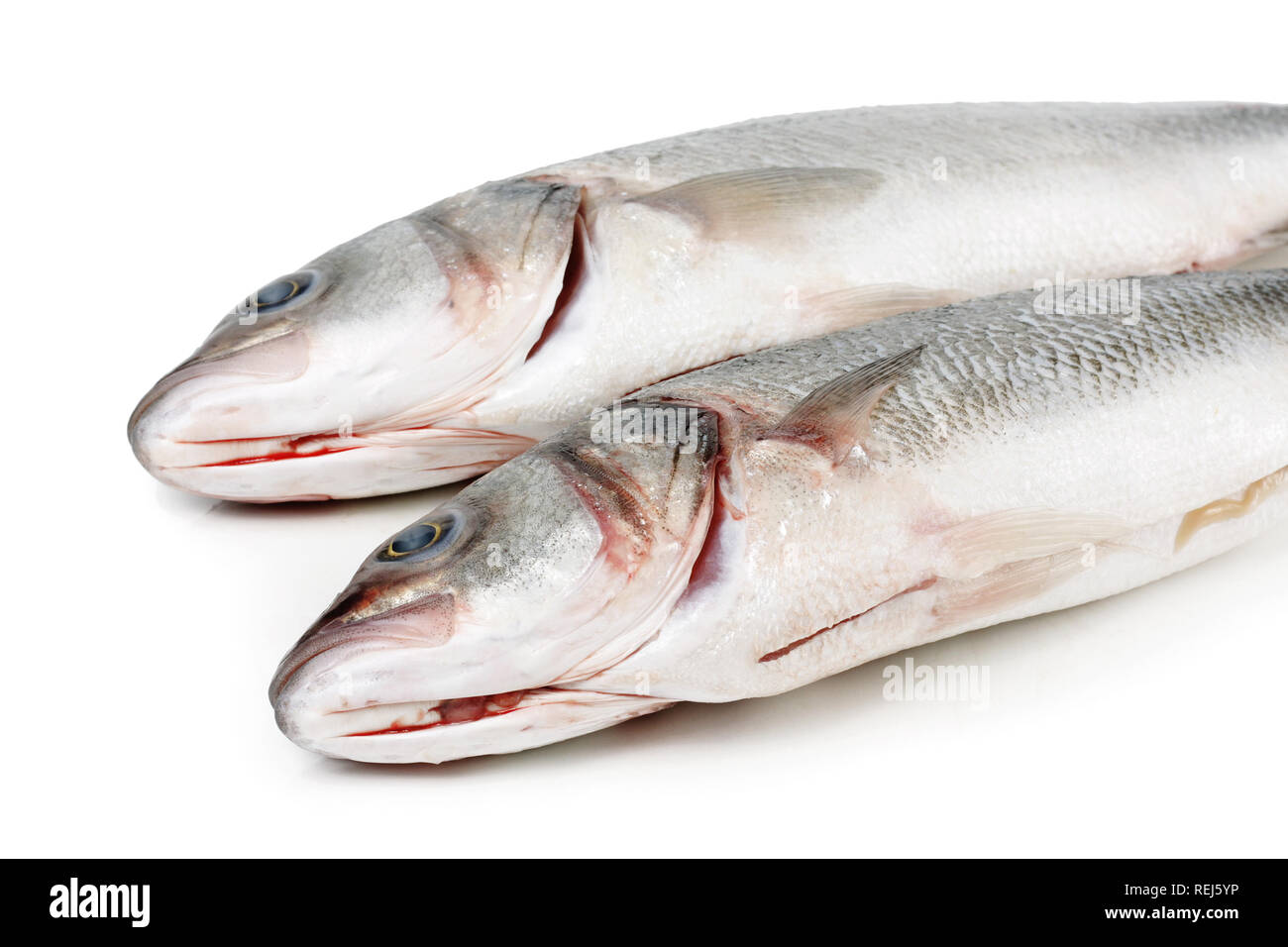 Sea bass fish, isolated on white Stock Photo - Alamy
