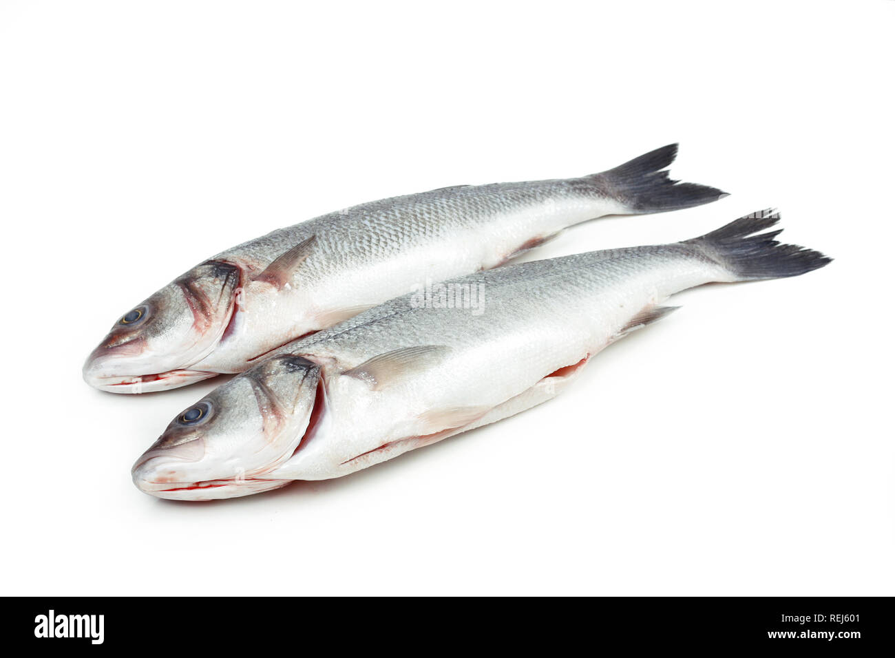 Bass fish Cut Out Stock Images & Pictures - Alamy