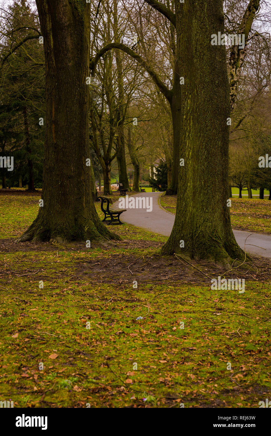 Autumn walk in the park Stock Photo - Alamy