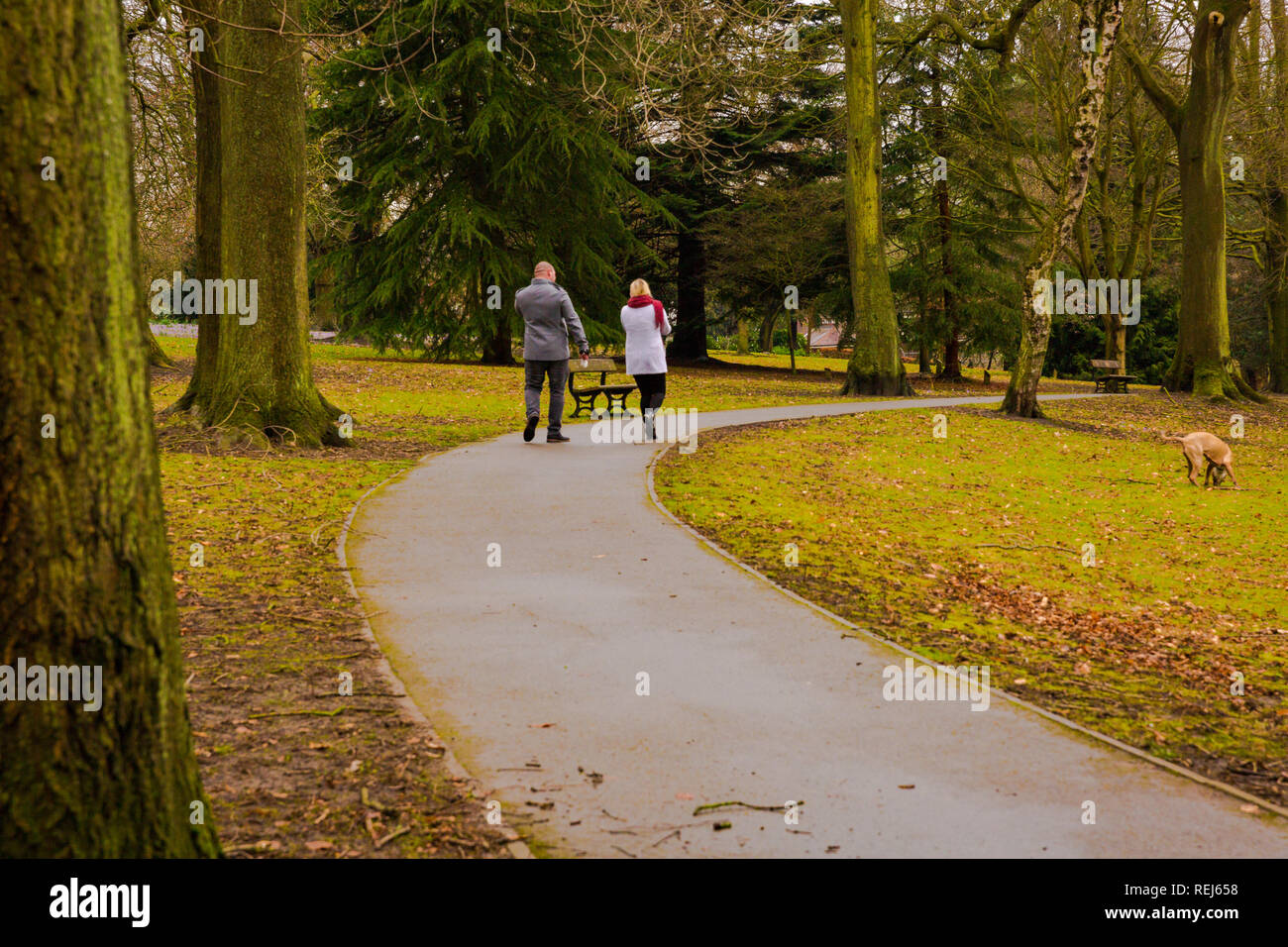 Moms in the park hi-res stock photography and images - Alamy