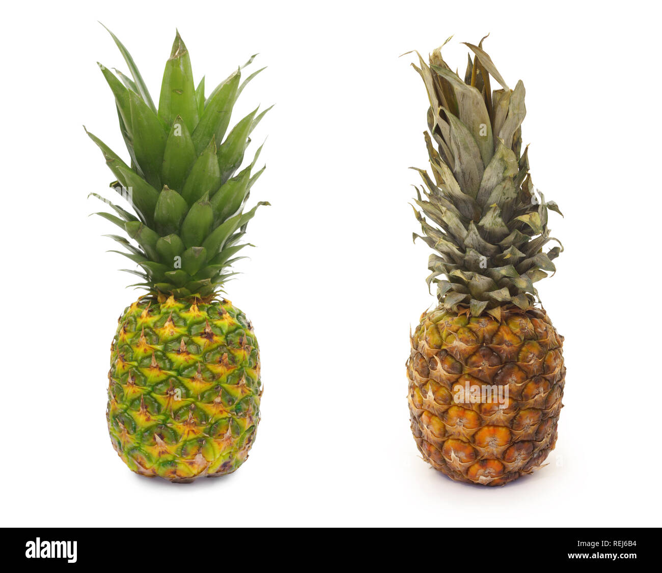 Good and bad piece of pinapple fruit, isolated on white Stock Photo - Alamy