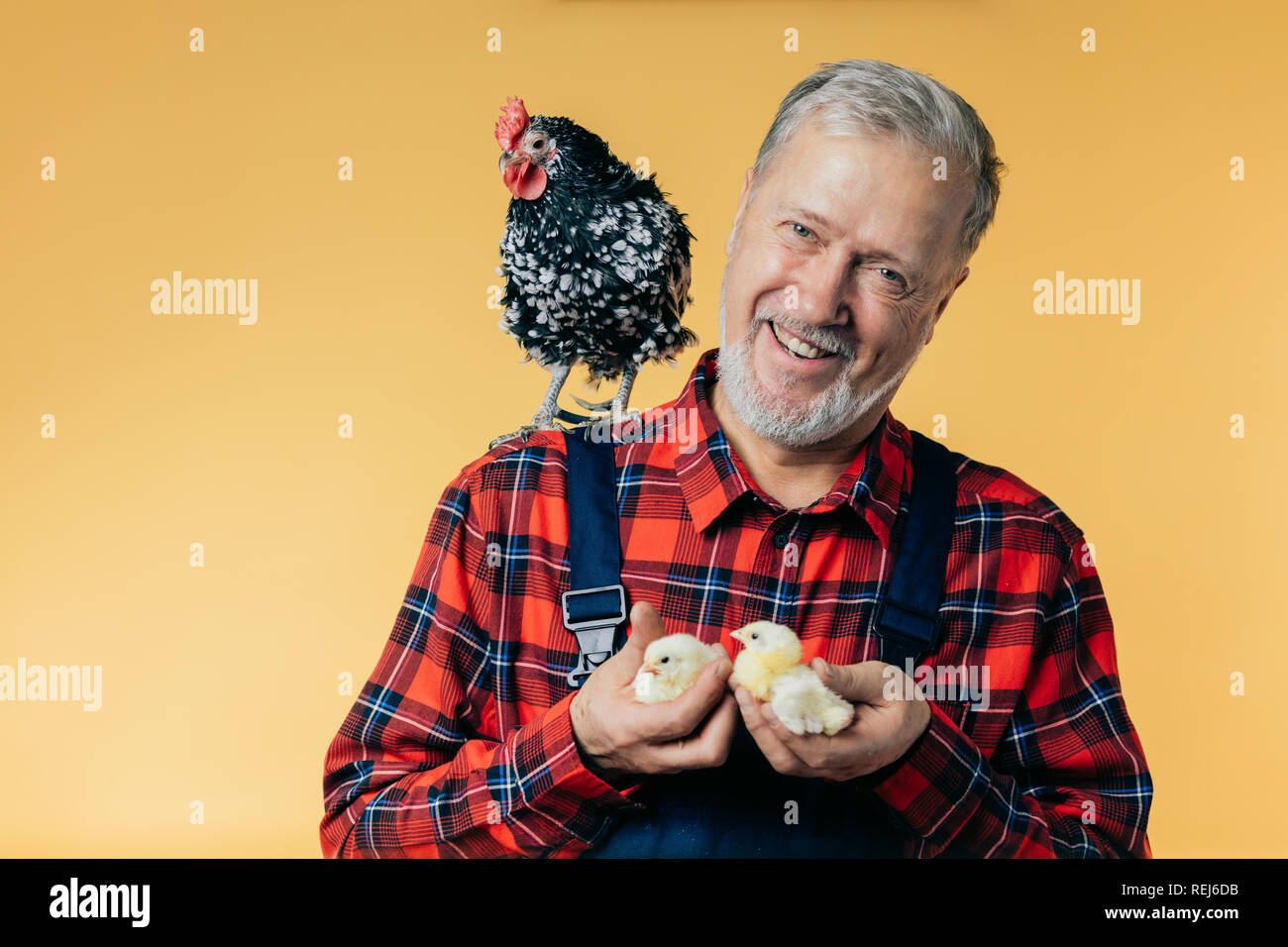kind positive farmer with a hen on his shoulder is holding its children ...