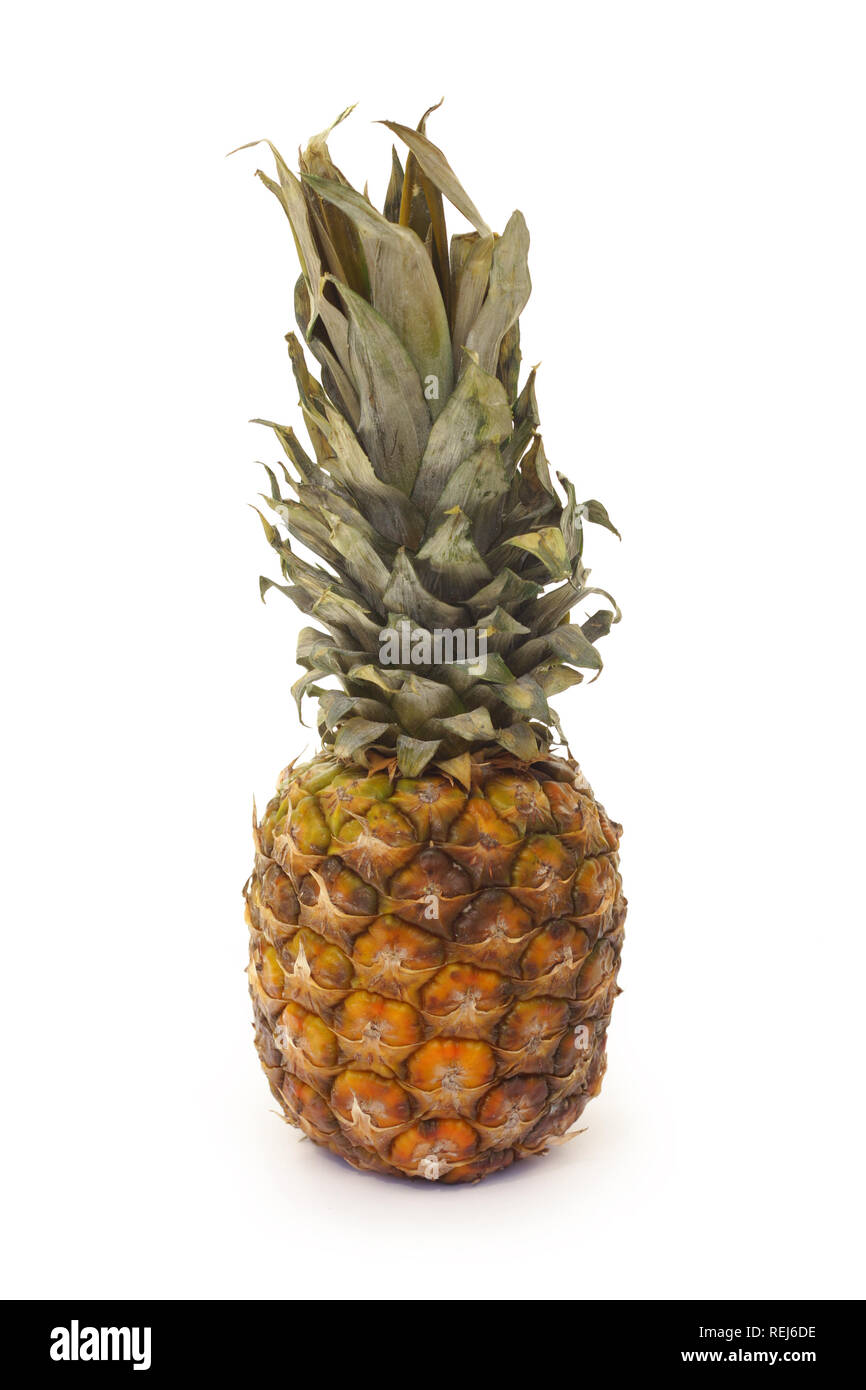 Ananas fruit hi-res stock photography and images - Alamy