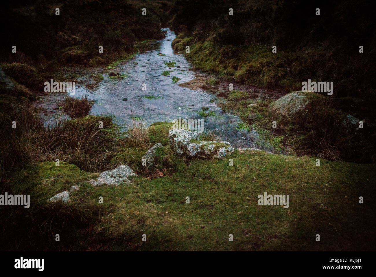 moorland stream lit by full moon bodmin moor cornwall England UK Stock ...