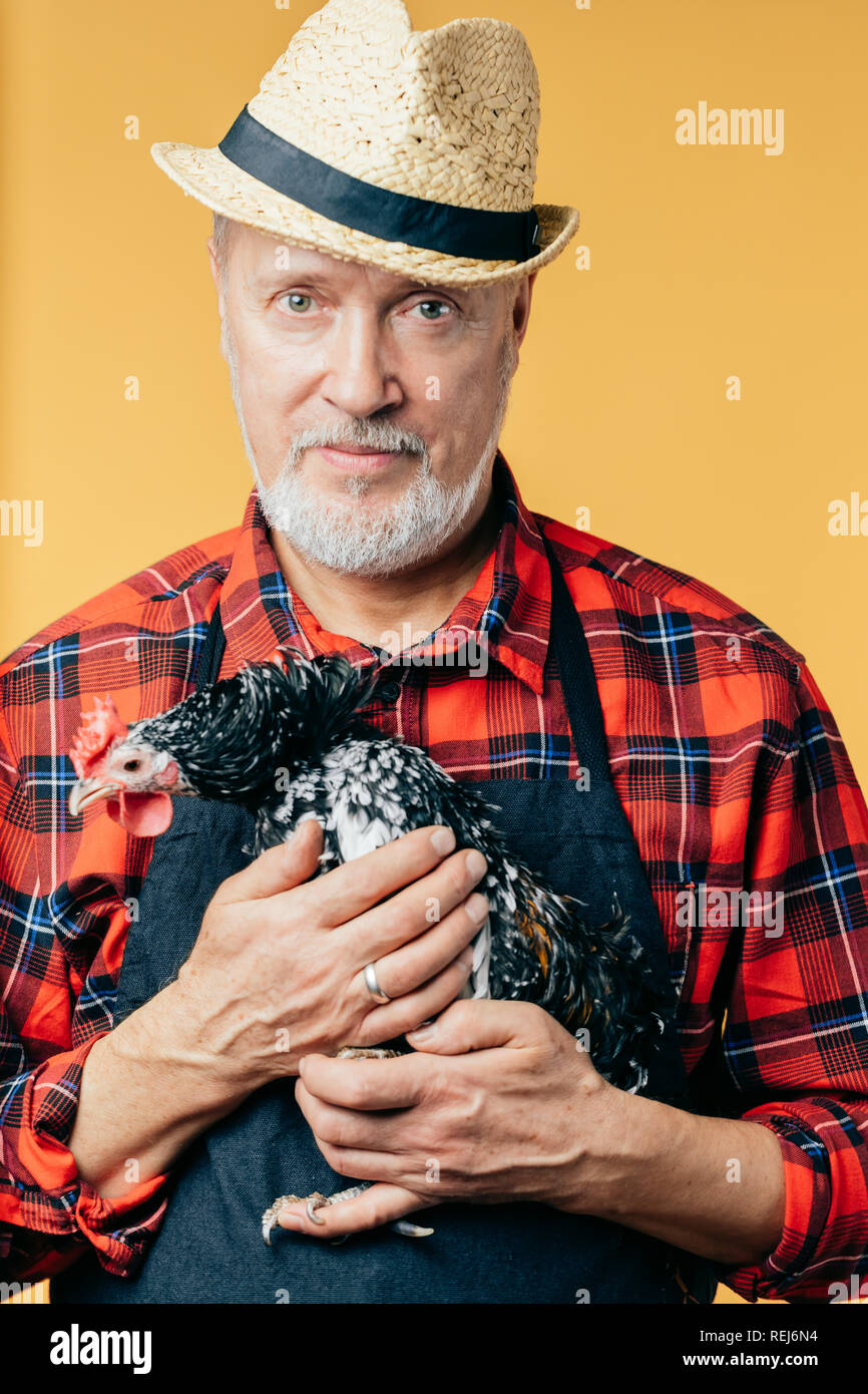 close up photo. grey-haired old man takes care of hens Stock Photo - Alamy