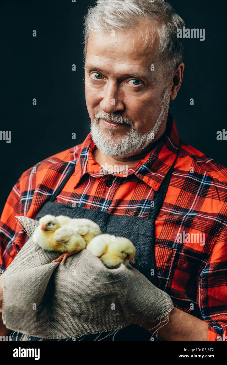 Old country chicken breed hi-res stock photography and images - Alamy