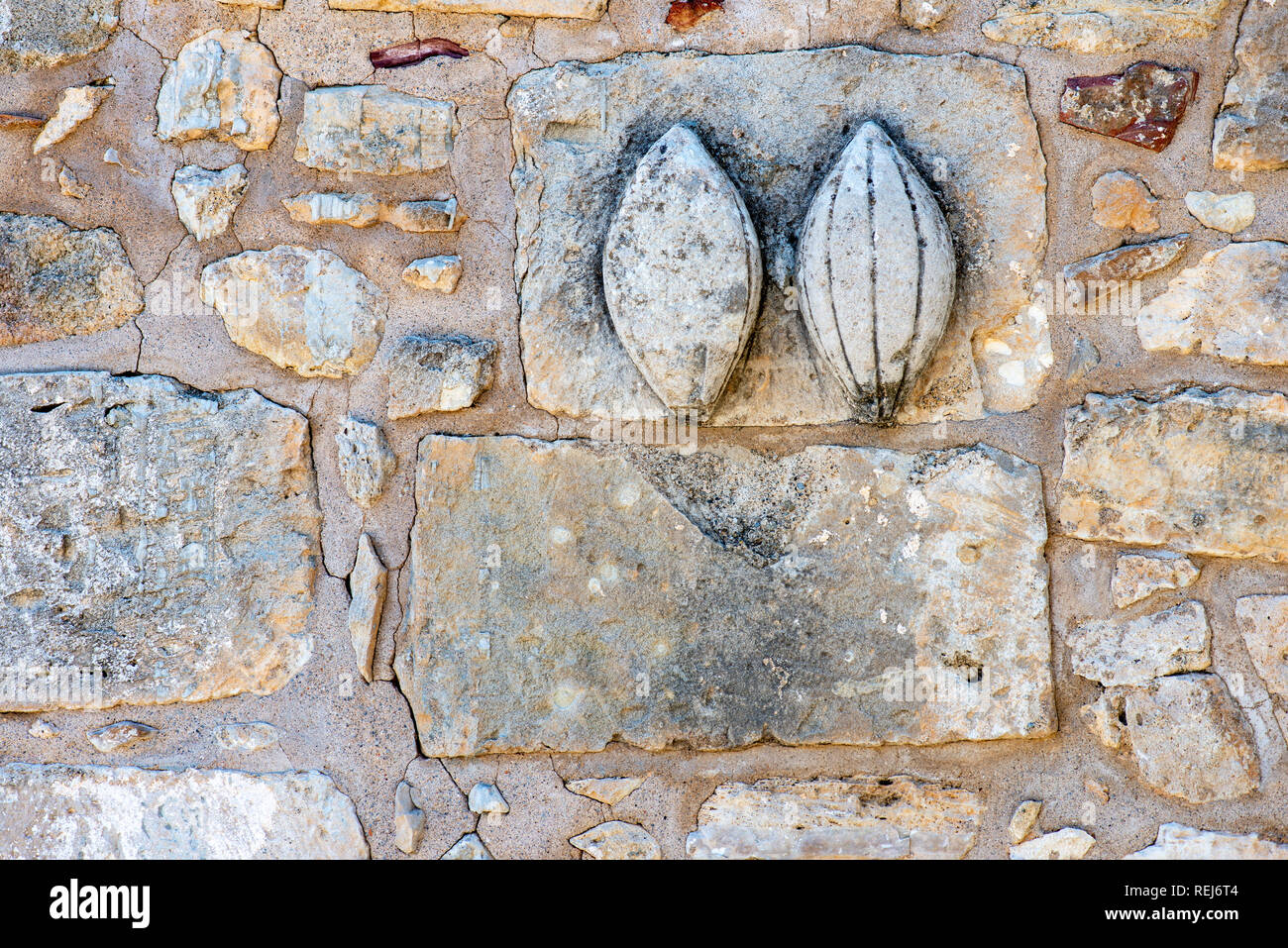 mussel shaped relief sculpture at an stone wall Stock Photo - Alamy