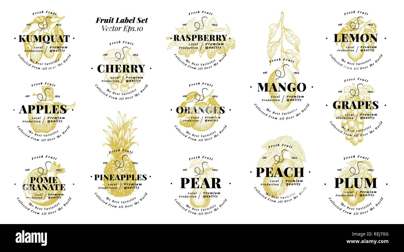 Berry and fruit labels set. Retro style design. Hand drawn vector ...