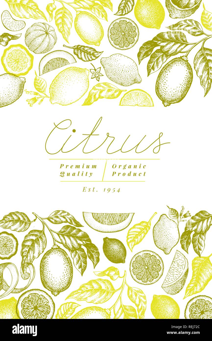 Retro citrus banner template. Lemon tree design. Hand drawn vector ...