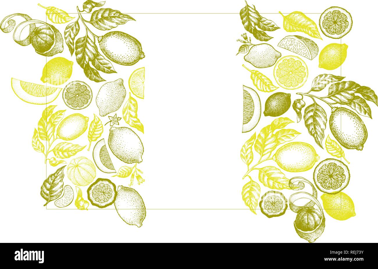Retro citrus banner template. Lemon tree design. Hand drawn vector ...