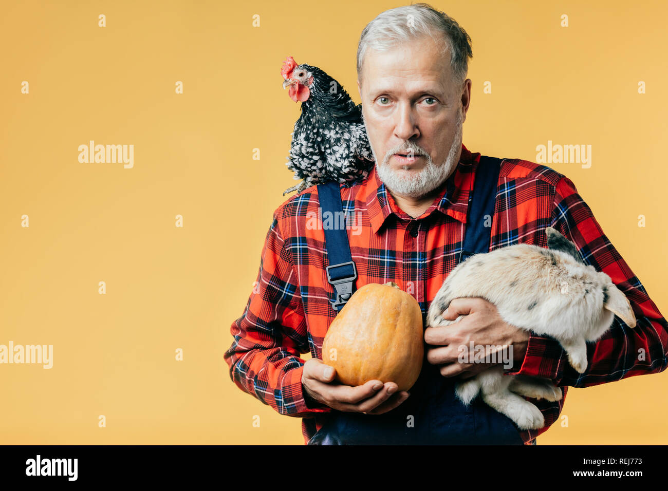 scared old man with a hen on his shoulder is holding a rabbit and a ...