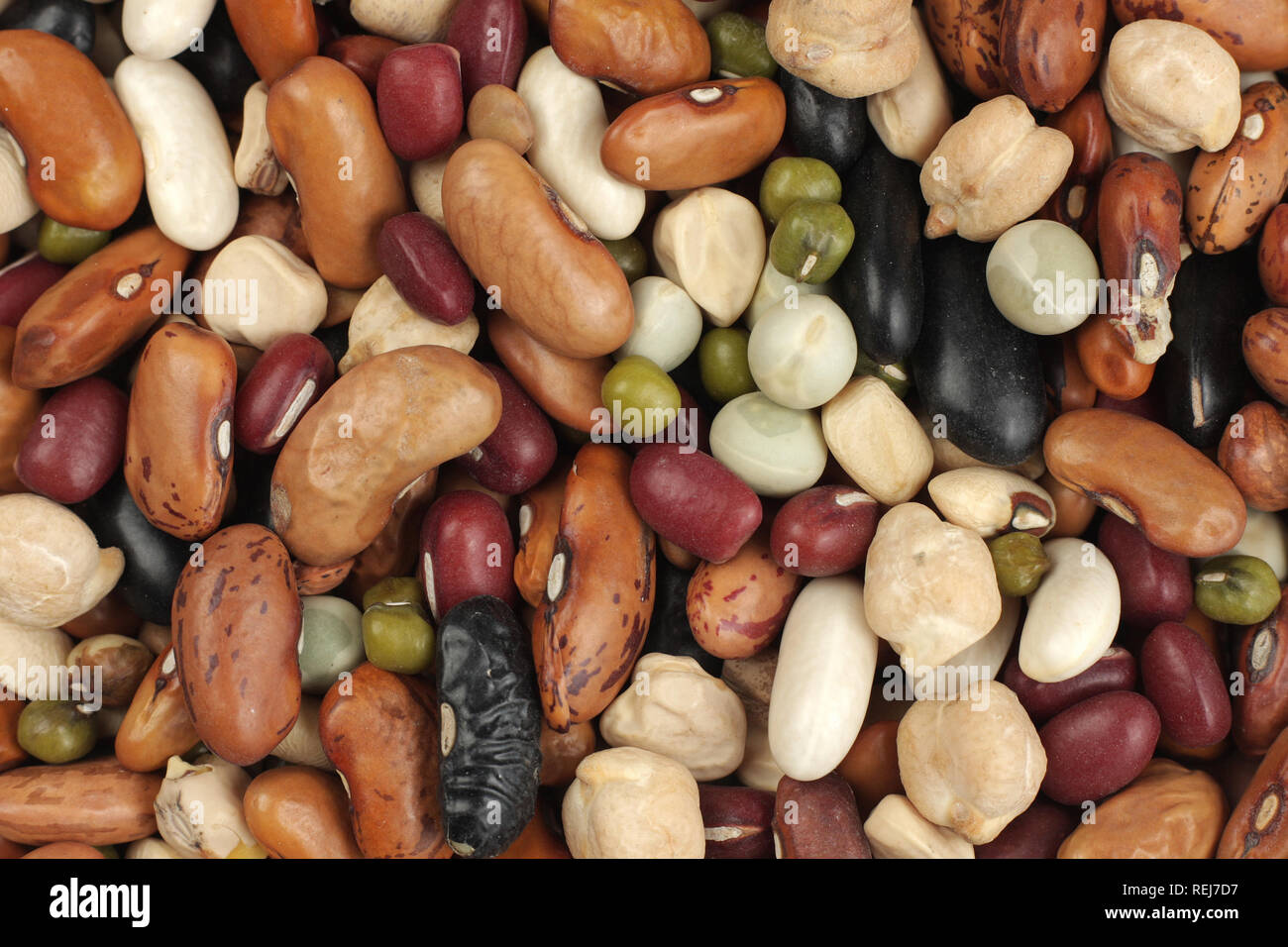 Mixture of different kind of beans, food texture Stock Photo - Alamy
