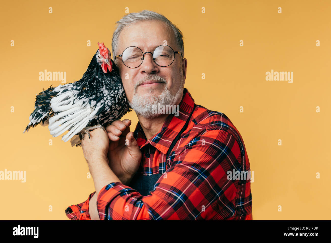Portrait man holding rooster hi-res stock photography and images - Alamy