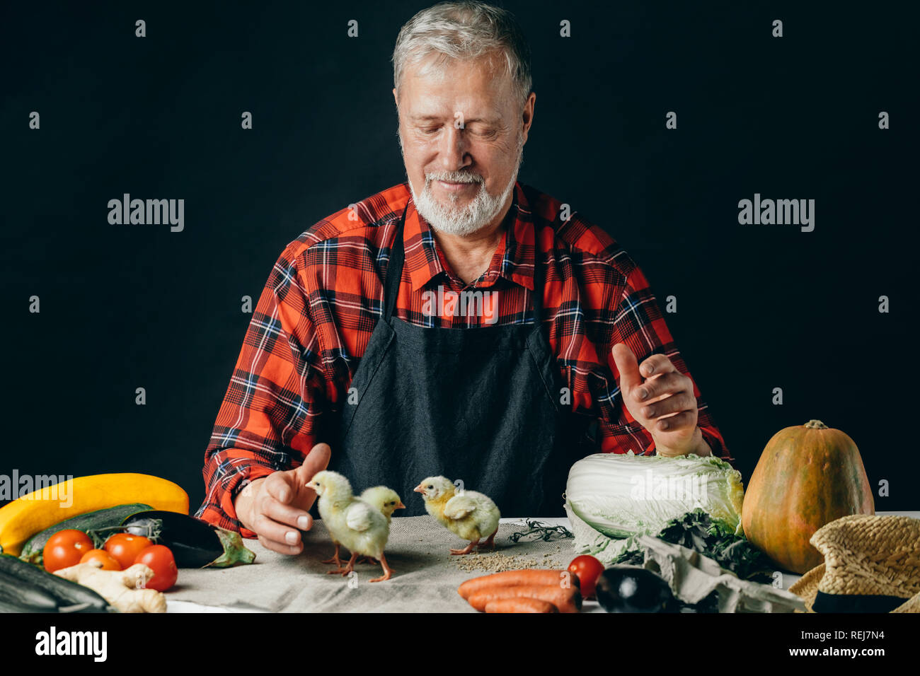 baby chickens are learning to go. first steps. old man is taming chicks ...