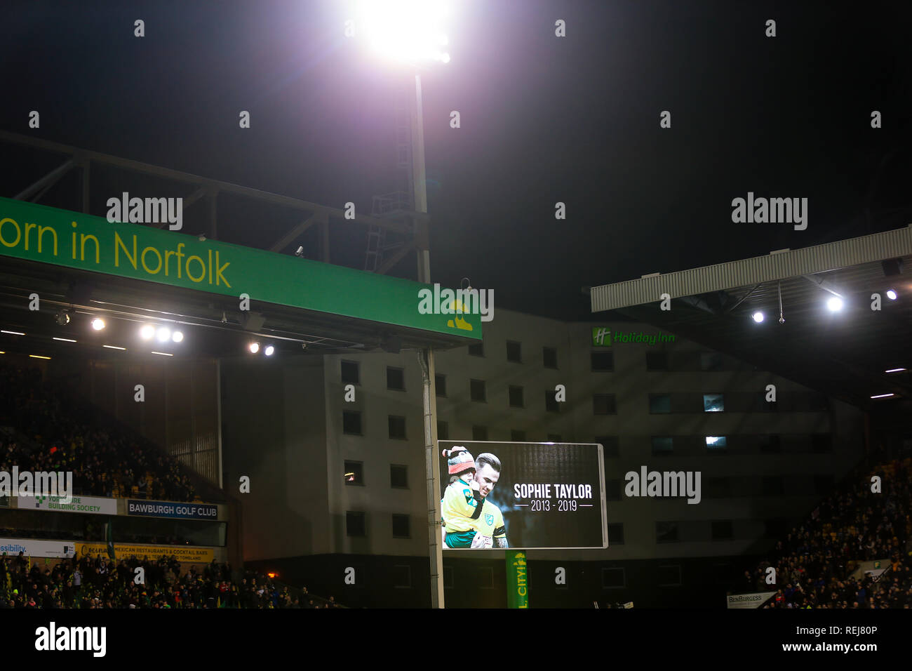 Norwich city mascot hi-res stock photography and images - Alamy