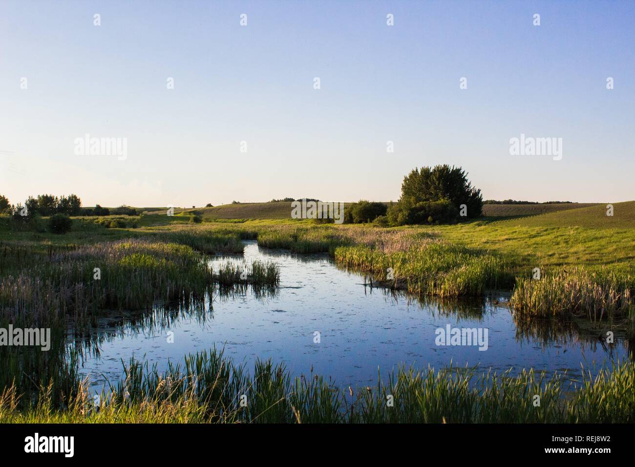 Swamp reservoir hi-res stock photography and images - Alamy