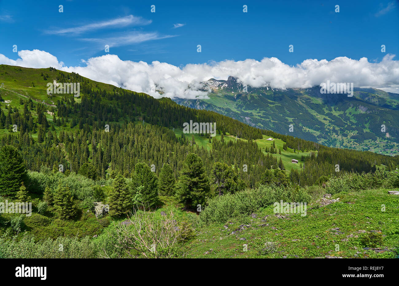 Grindelwald landscape hi-res stock photography and images - Alamy