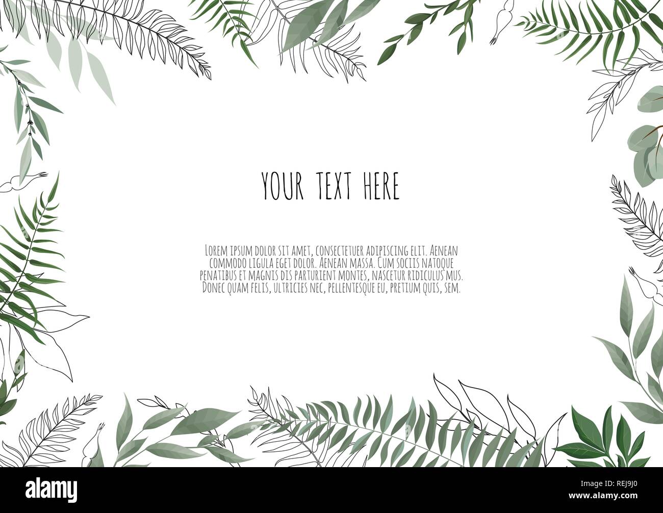 Vector floral botanical card design with leaves Stock Vector Image ...