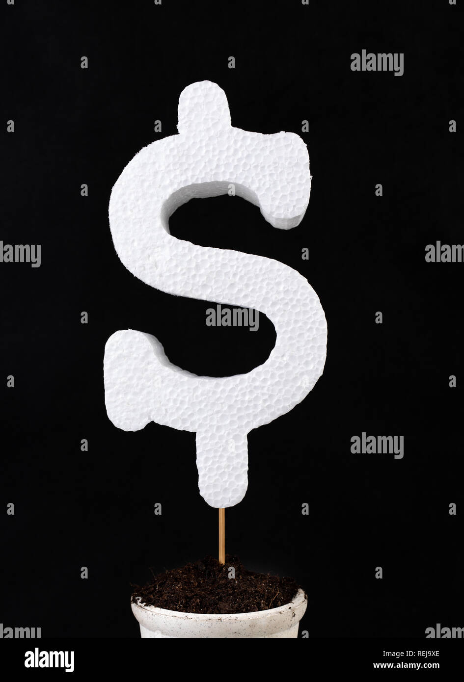 Dollar symbol embedded in a pot with fresh black soil. Marking the ...