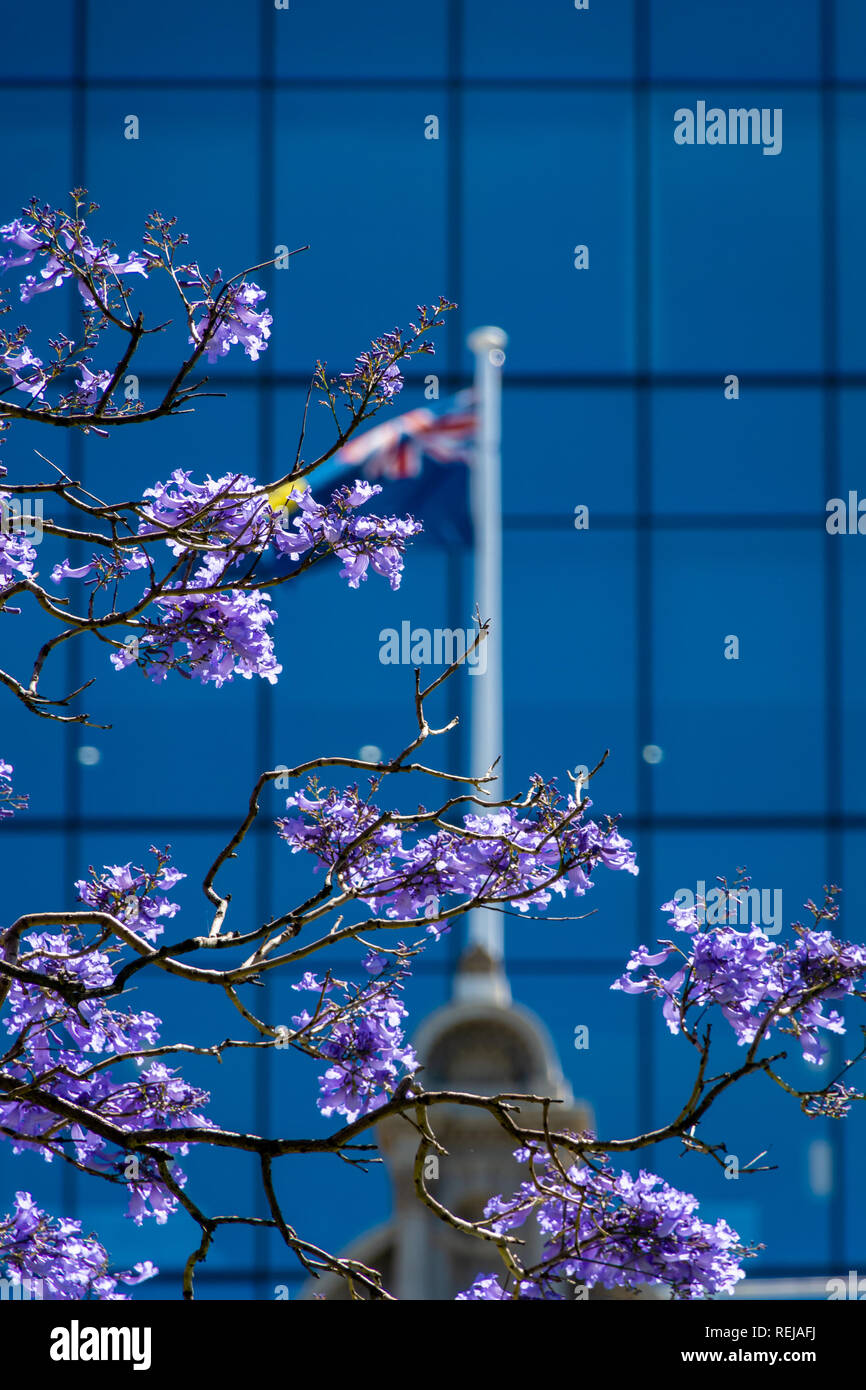 Perth cricket ground hi-res stock photography and images - Alamy