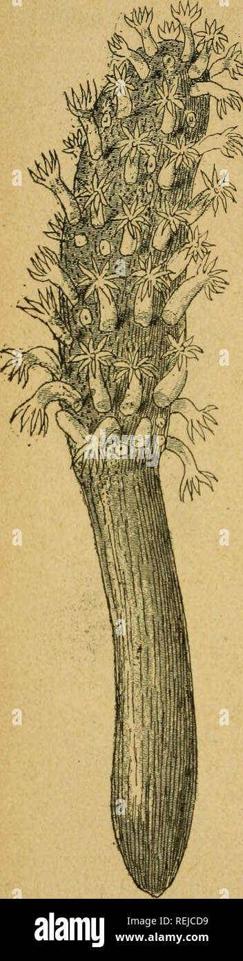 Fosse naturelle hi-res stock photography and images - Alamy