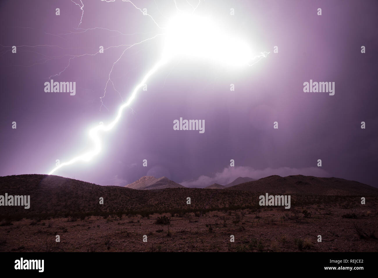 Road Forks, Hidalgo County, New Mexico, USA Stock Photo - Alamy